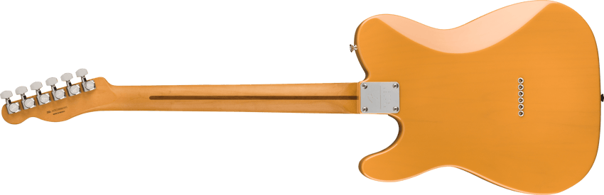 Player Plus Electric Guitars – Fender