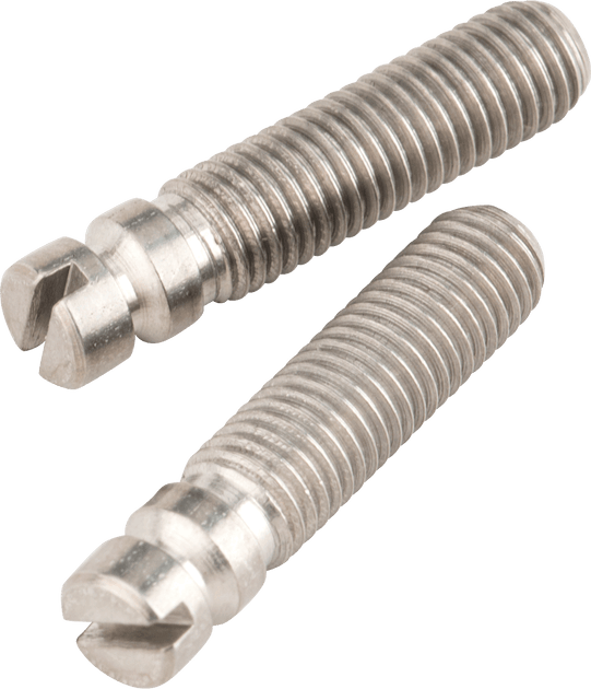 Bridge Pivot Screws (2) – Fender