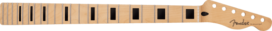 Player Series Telecaster® Neck w/Block Inlays, 22 Medium Jumbo Frets ...